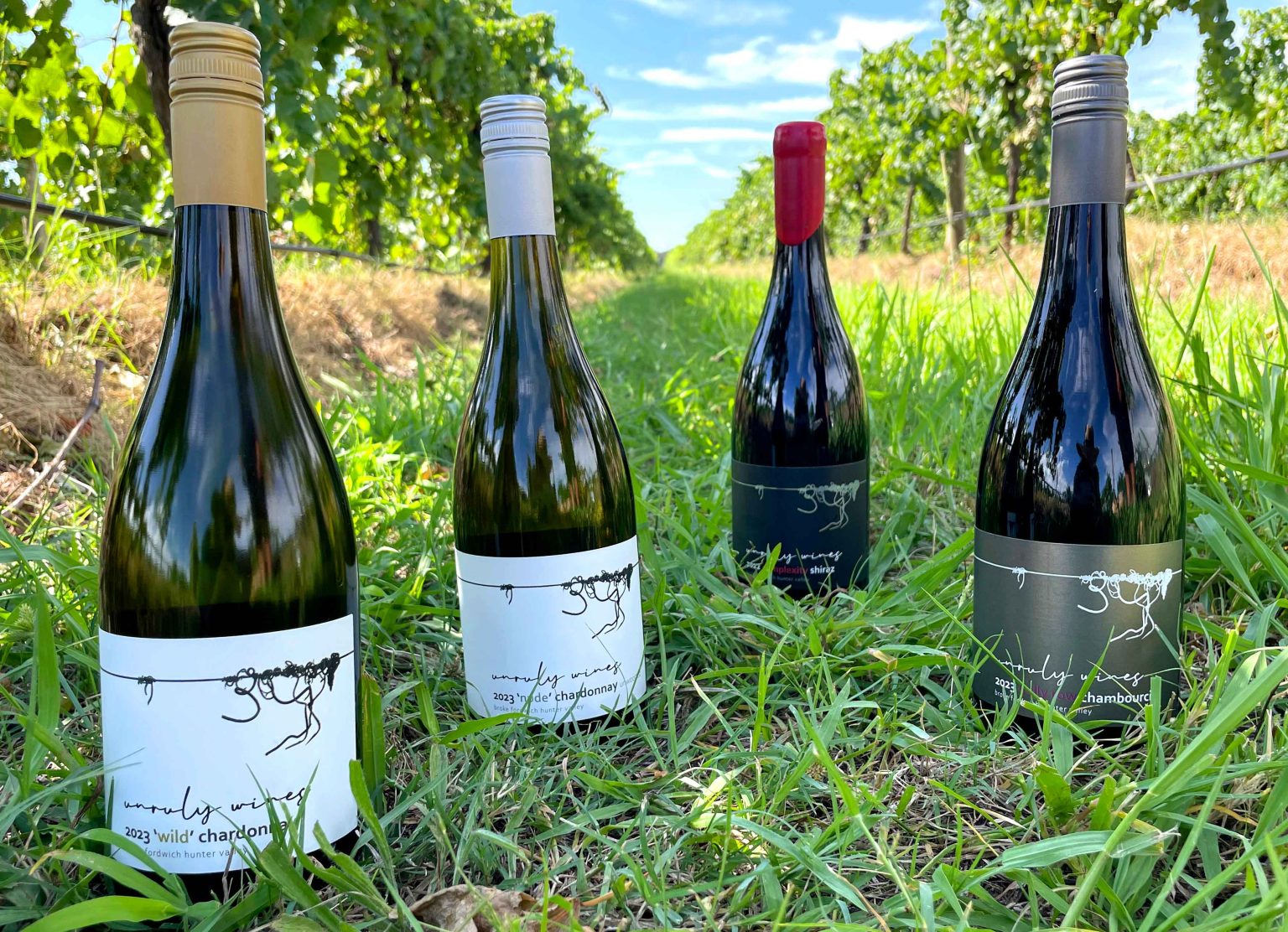 Unruly Wine Club - Join the Wine Club Made for Our Followers